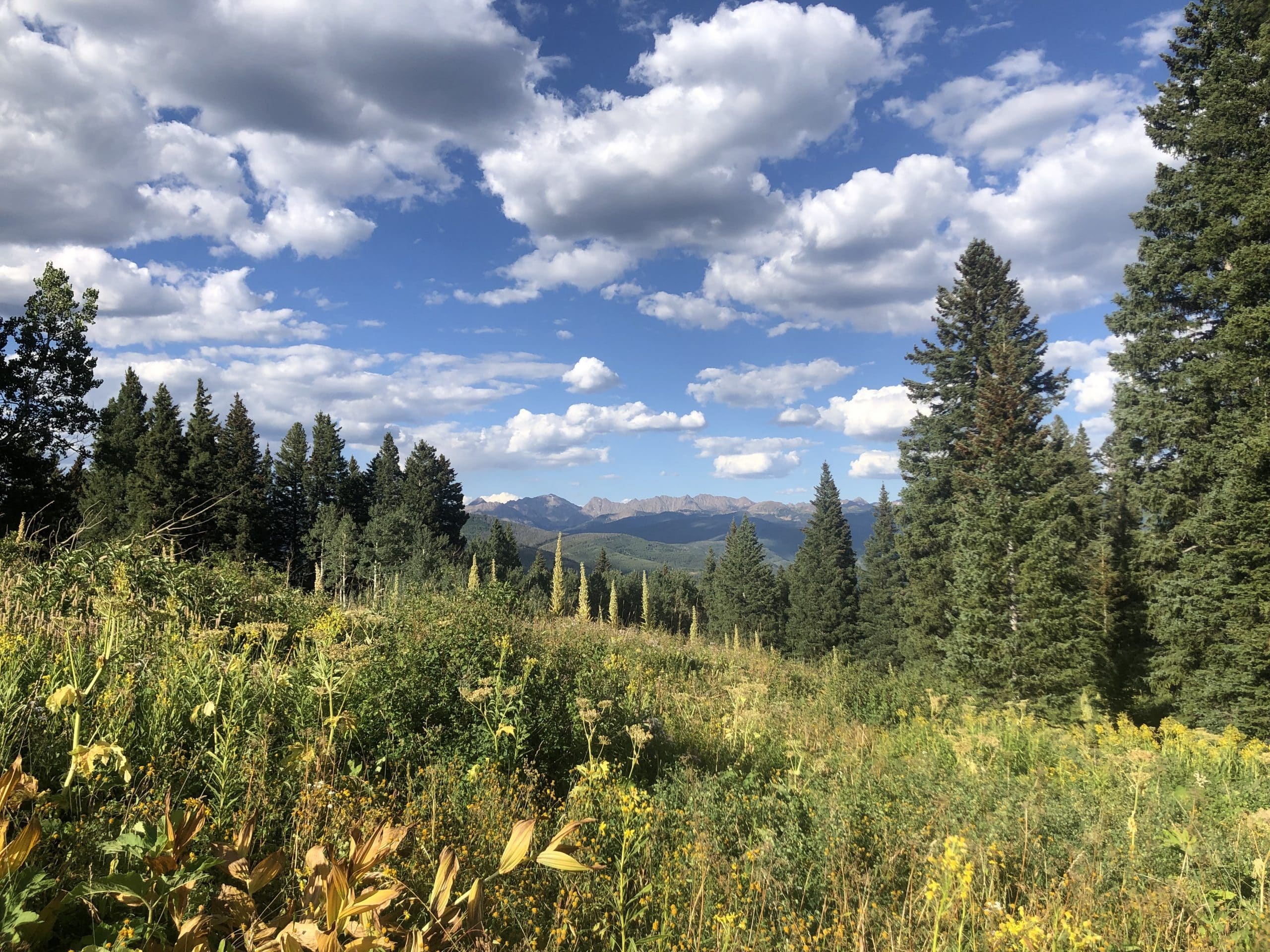 9 of the Vail Valley's best fall foliage hikes | VailDaily.com